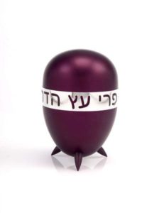Modern Colorful Etrog Box - Baltinester Jewelry & Judaica